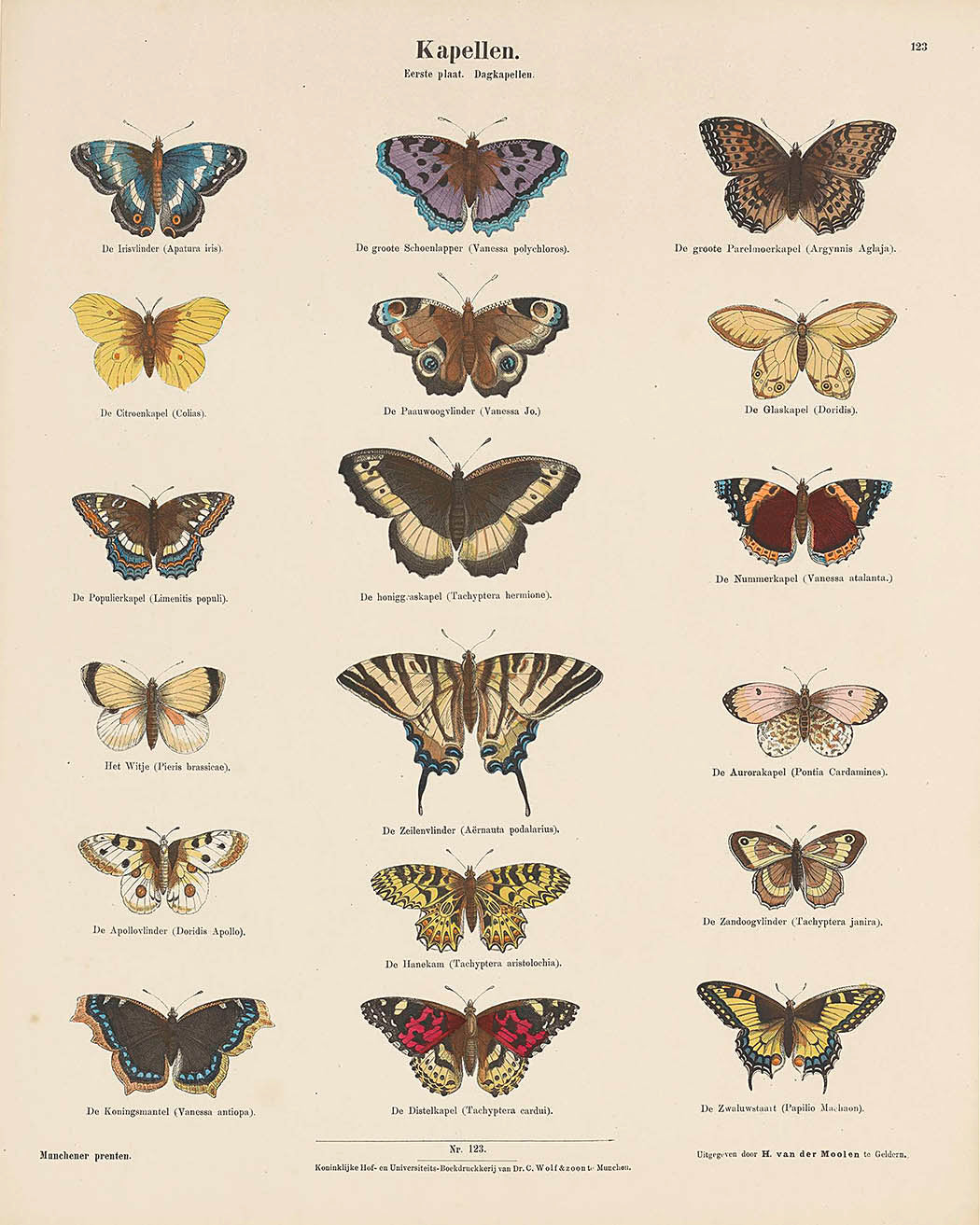 Vintage Butterfly Posters