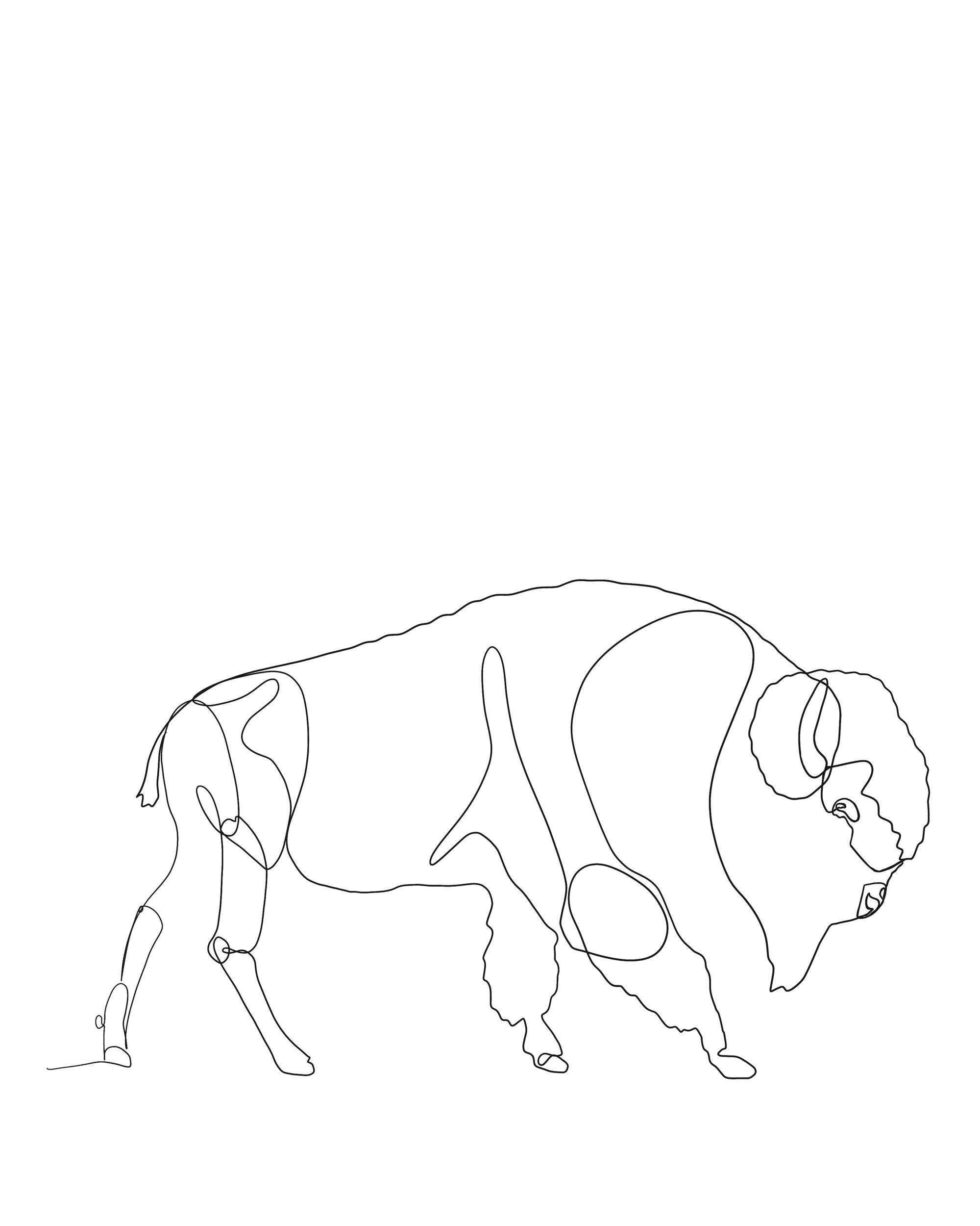 Buffalo Outline Drawing